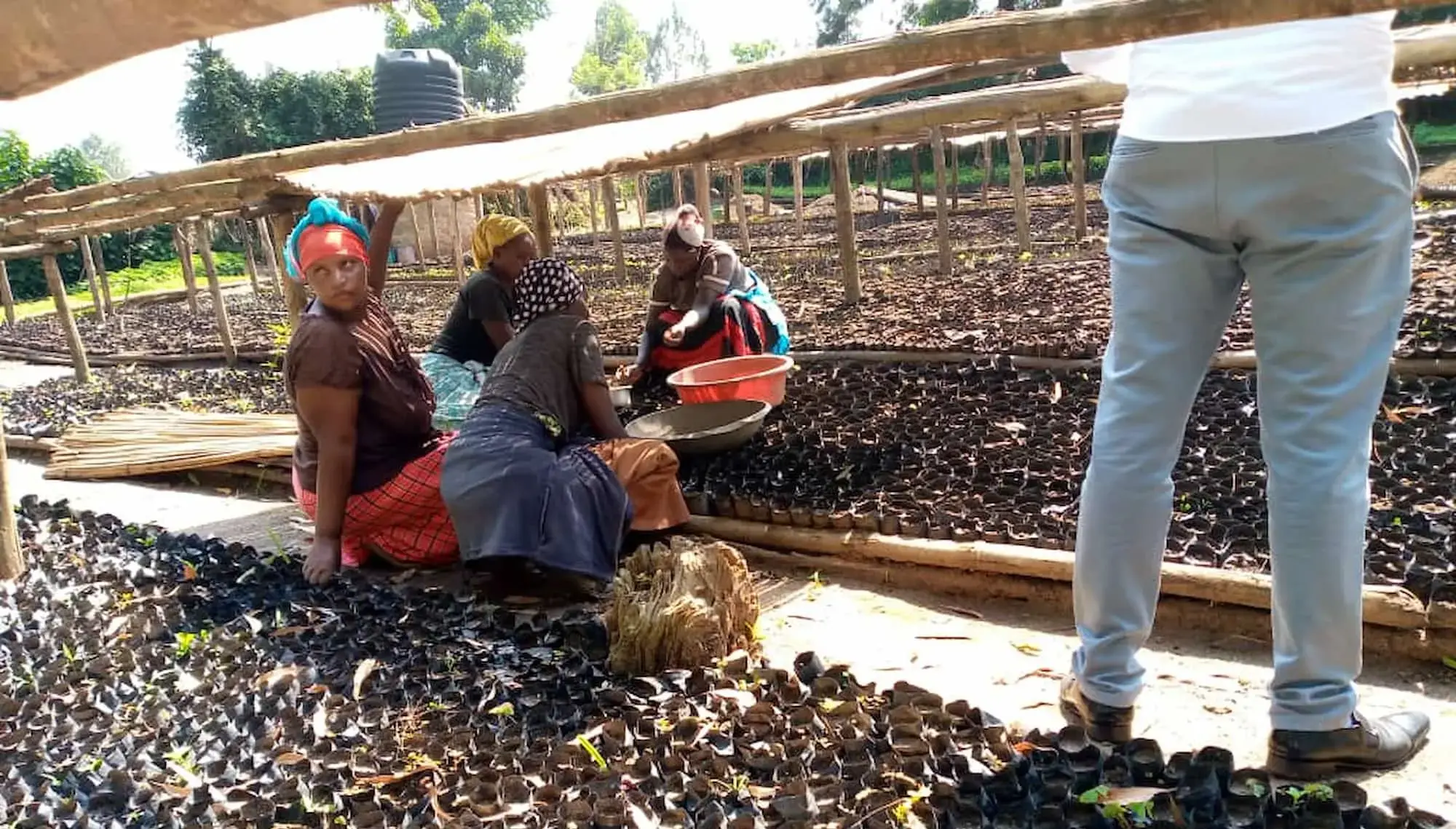 Empowering Ugandan Women to Sustain The Future | AFR100